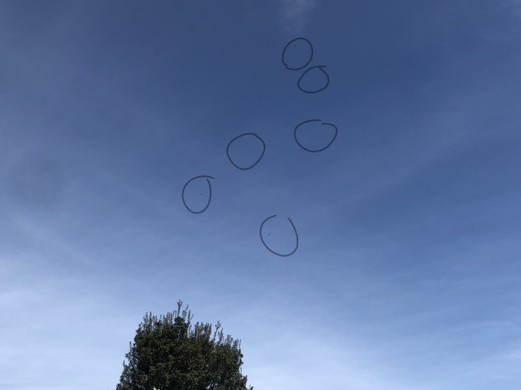 Mountain Hawk Park - Parks in San Diego